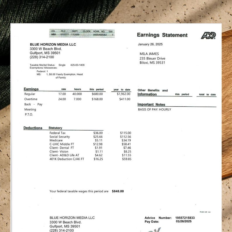 Employee Check Stub Template, Paystub, Payroll Statement, ADP Paystub ...