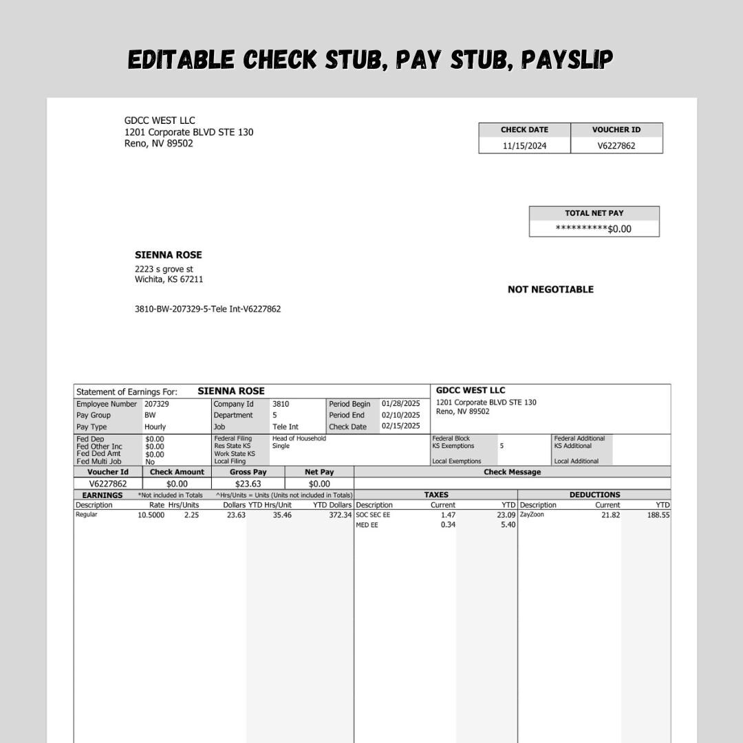 Buy Editable Check Stub, Pay Stub, Payslip, Payroll Statement, Monthly ...