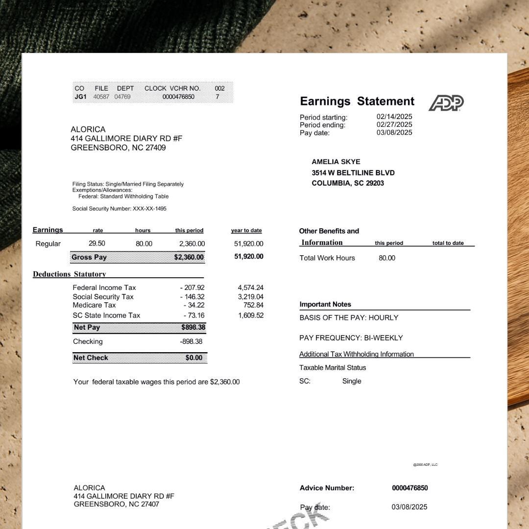 USA ADP Check Stub, Editable Pay Stub Template, Paycheck Stub, Employee ...