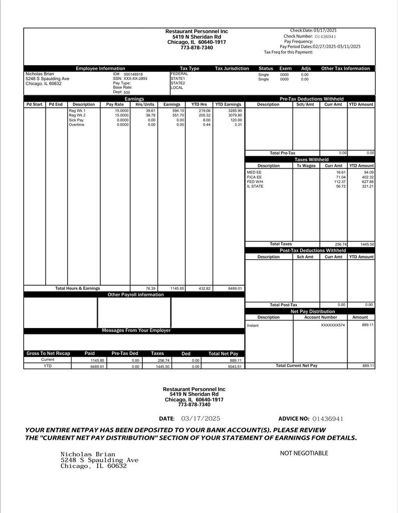 Employee Paystub Template, Professional Pay Slip PDF, Payroll Statement ...