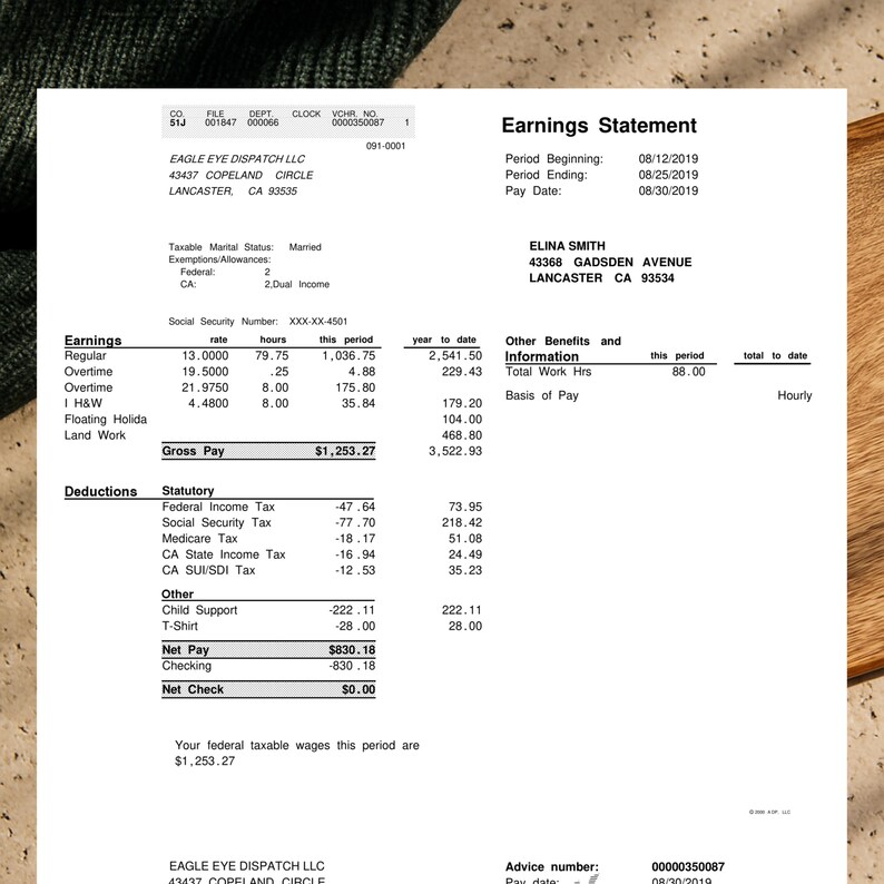 Employee Pay Stub, Check Stub Template, Paycheck Stub, Earnings ...