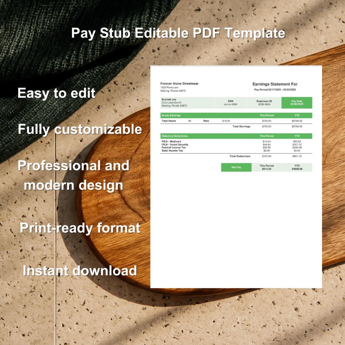 Professional Paystub Template, Editable Payroll Statement PDF, Digital ...