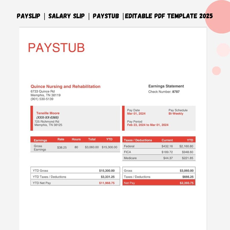 Employee Payslip | Salary Slip | Paystub | USA Payslip | UK Payslip - Editable PDF Template 2025 ...