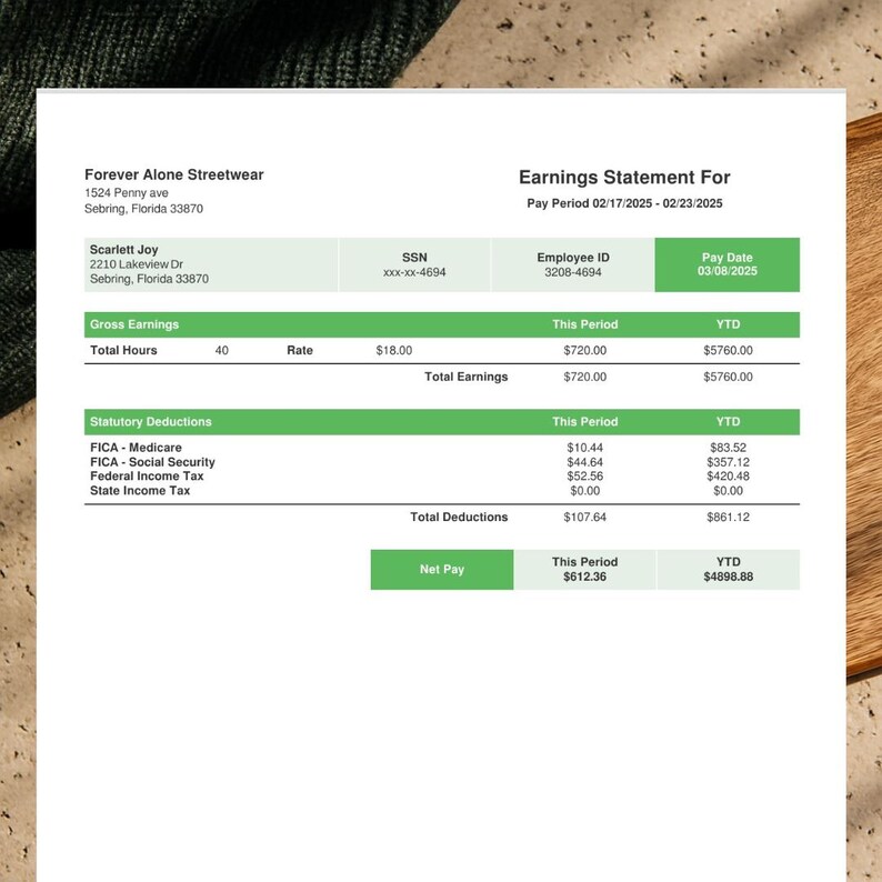 Professional Paystub Template, Editable Payroll Statement PDF, Digital ...