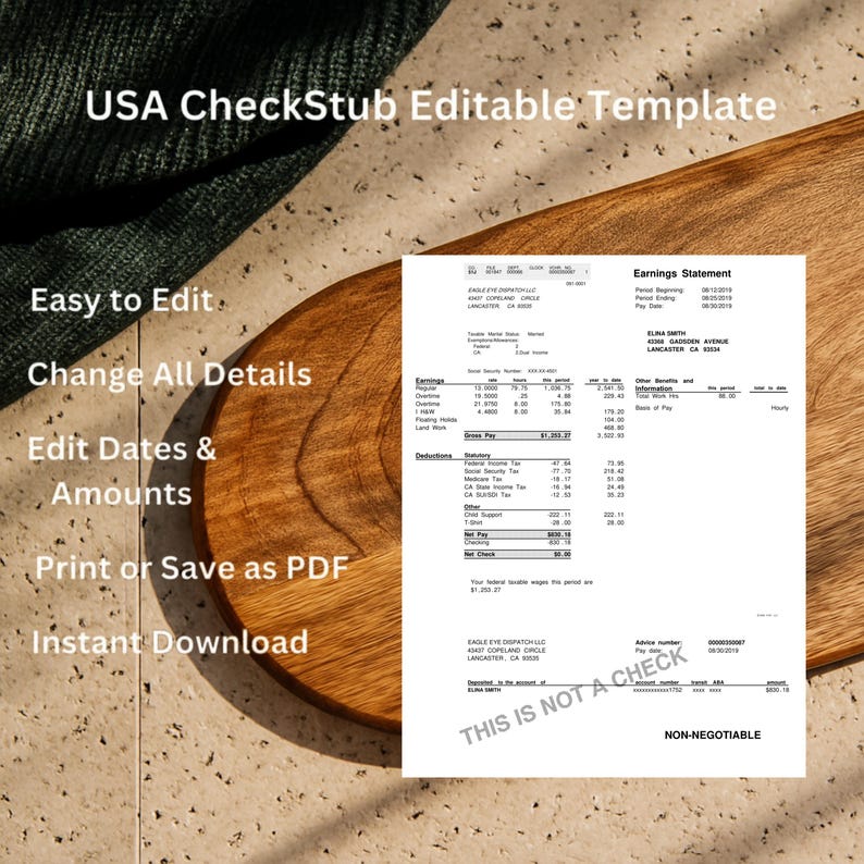 Employee Pay Stub, Check Stub Template, Paycheck Stub, Earnings ...