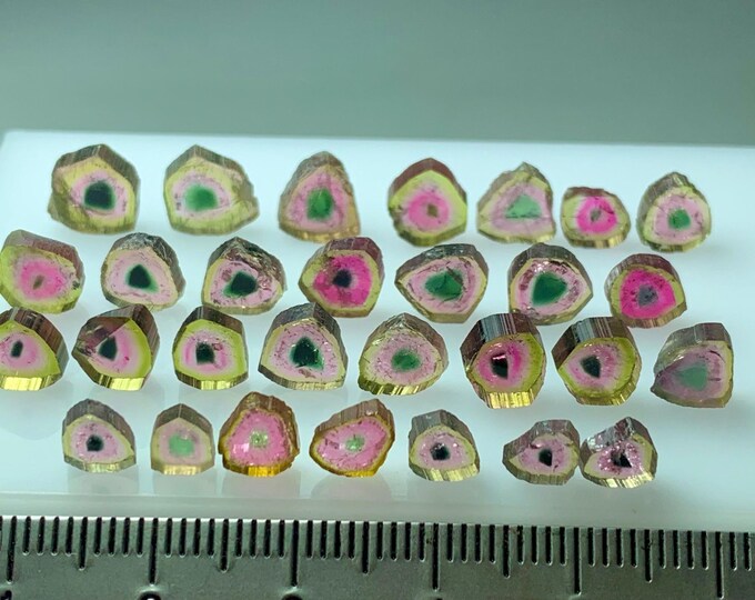 30.55 Ct Well Polished Watermelon Tourmaline Pairs Slices From ...