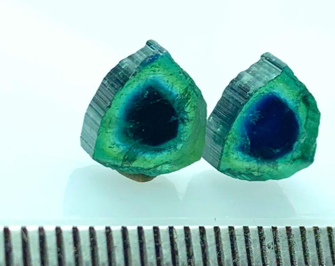 3.90 Ct Well Polished Watermelon Tourmaline Pairs Slices From ...