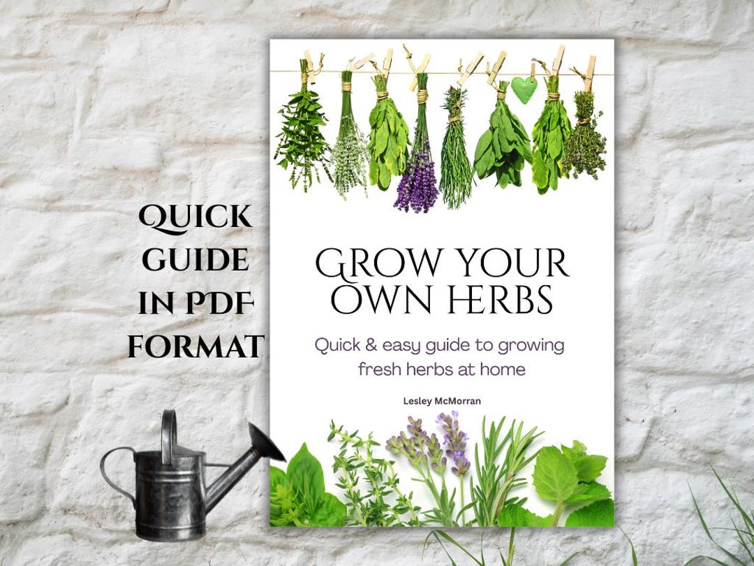 Quick Guide to Growing Herbs at Home, Growing Herbs Made Easy, Short ...