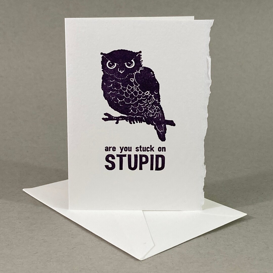 Are You Stuck on Stupid? | Funny Owl Card | Offensive Friend Card ...