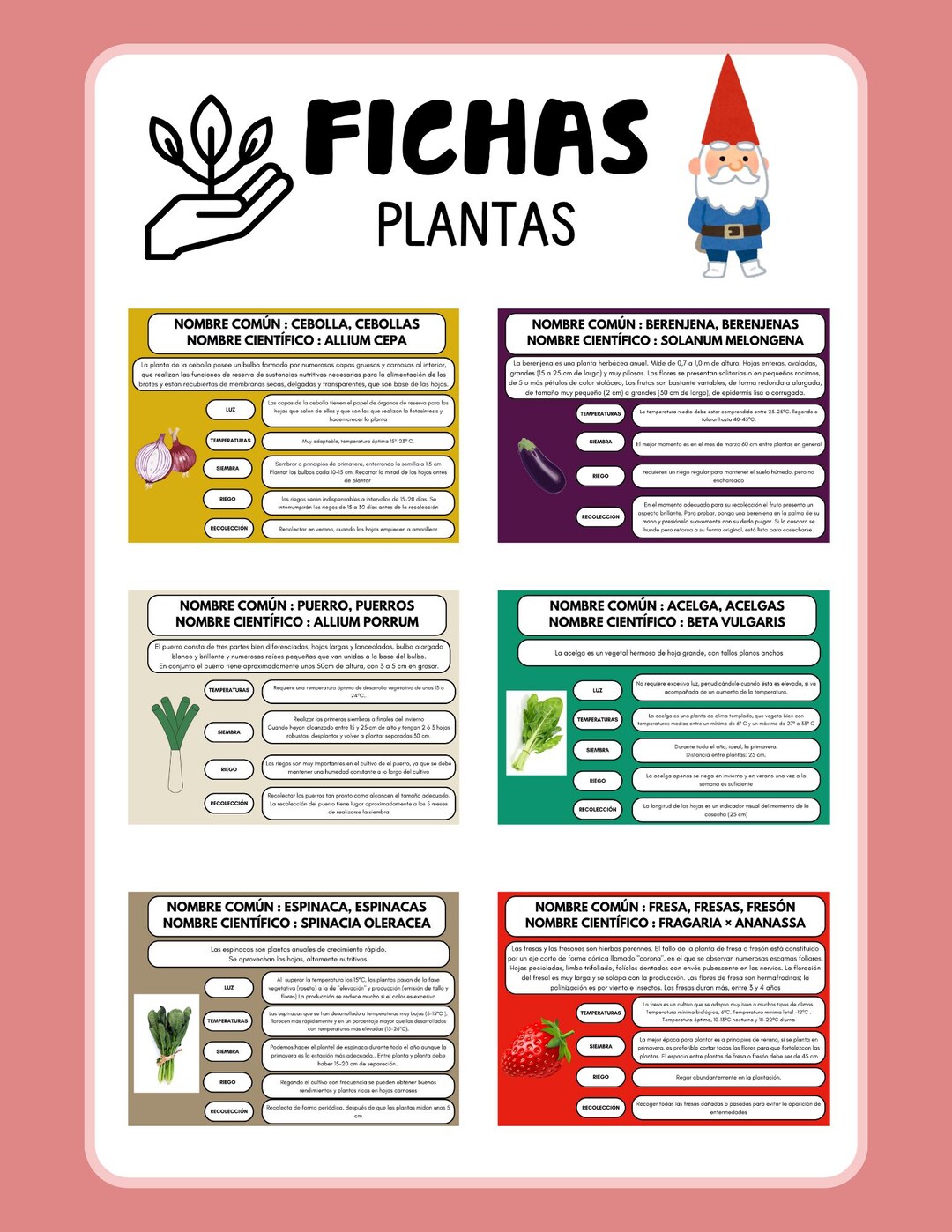 Printable Garden Planner: Monthly Charts, Plant Cards, and Space to ...