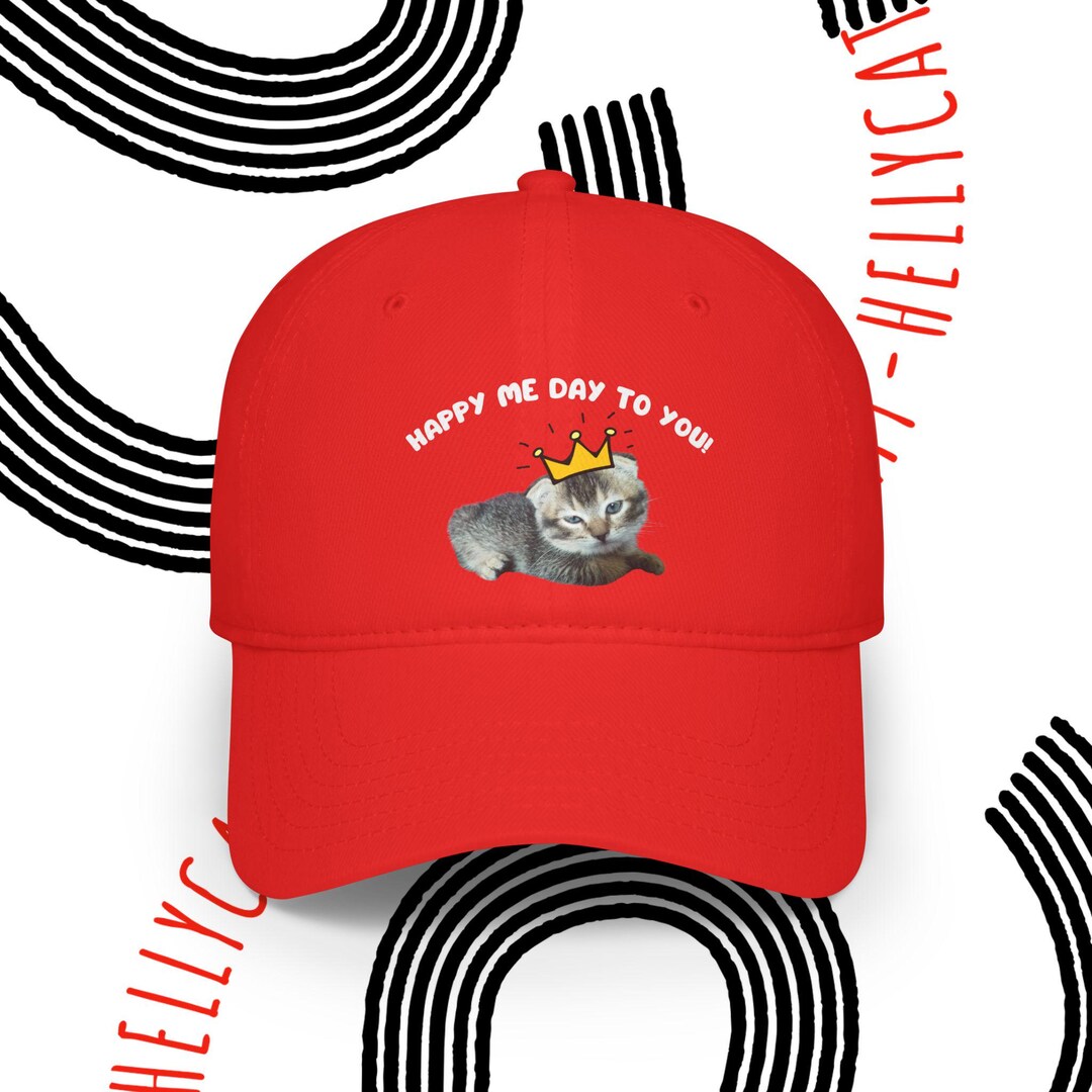 Cat-themed Baseball Cap, Funny Cat Hat, Pet Lover Gift, Birthday Cap ...