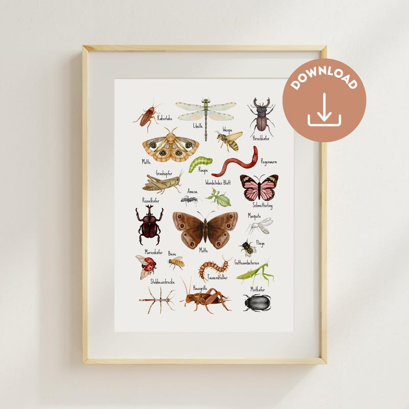 Insect Poster - Etsy