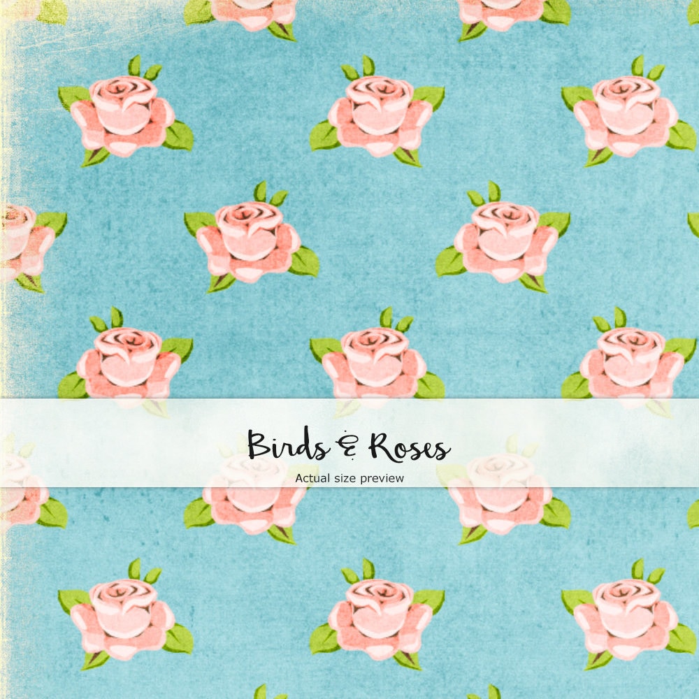 Romantic Birds and Roses Digital Paper and Clipart Set - Etsy