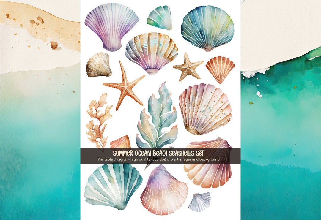 Seashells, Beach, Summer, Ocean Clipart and Background Set in ...