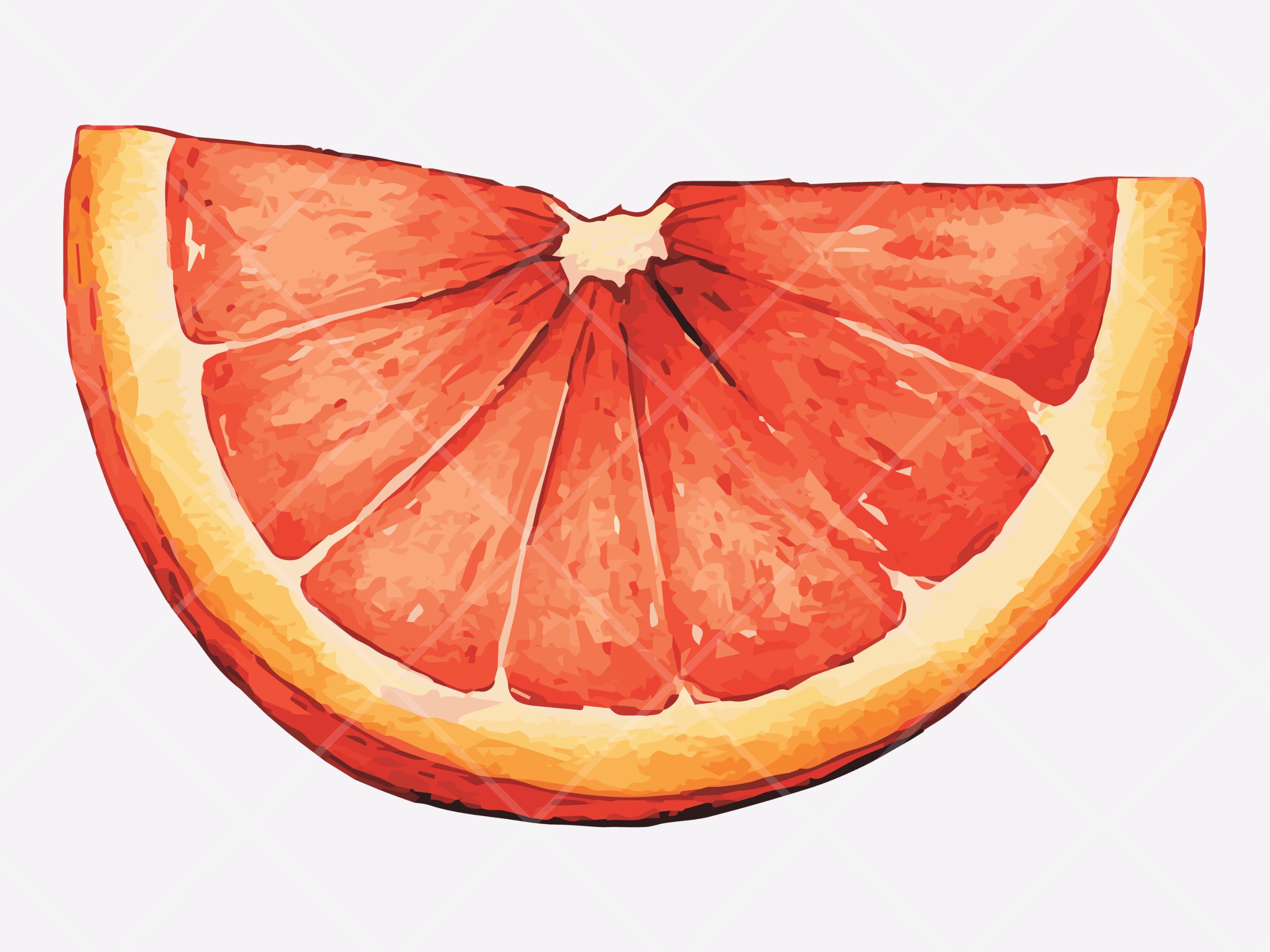 Watercolor Fruit Slices Clipart Fruit Slices Graphics Fruits Clipart ...