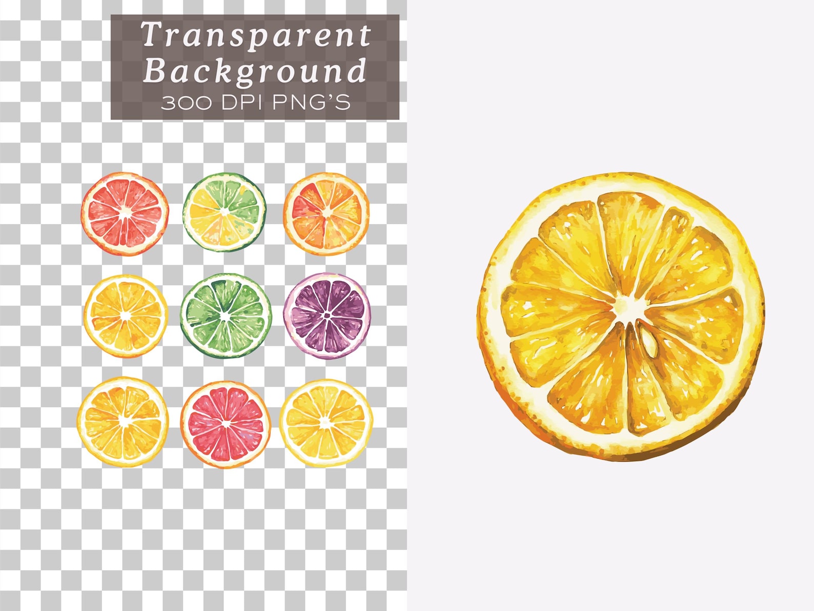 Watercolor Fruit Slices Clipart Fruit Slices Graphics Fruits Clipart ...
