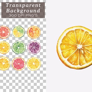 Watercolor Fruit Slices Clipart Fruit Slices Graphics Fruits Clipart ...