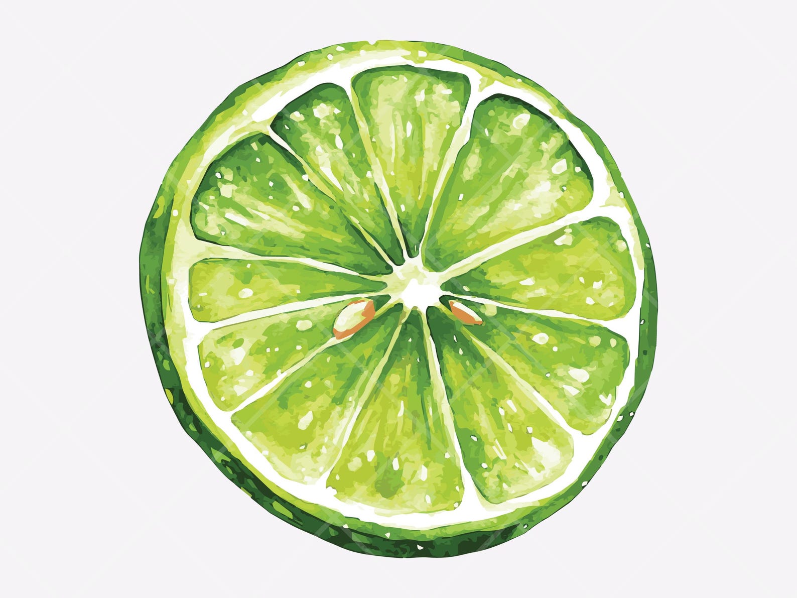 Watercolor Fruit Slices Clipart Fruit Slices Graphics Fruits Clipart ...