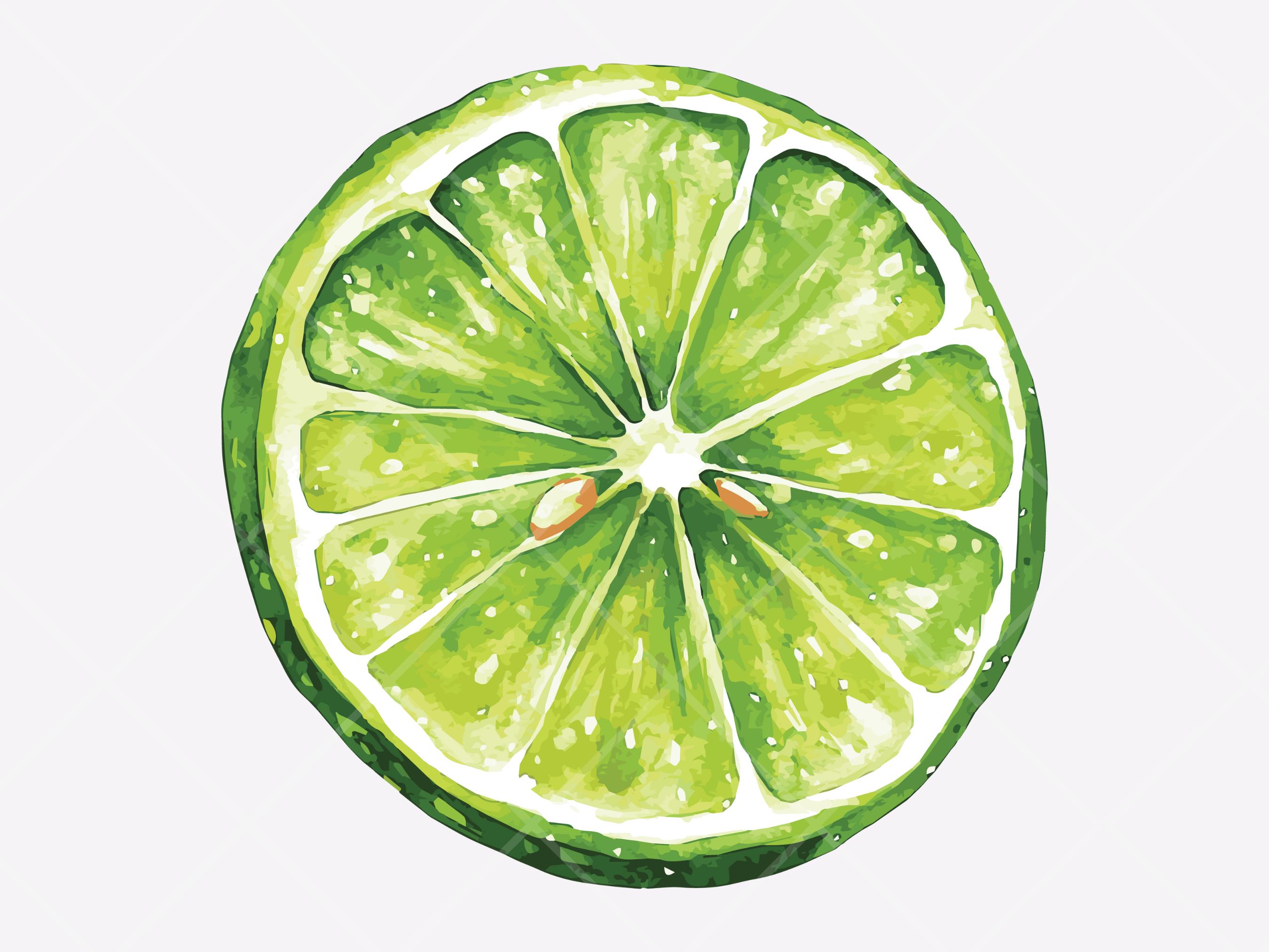 Watercolor Fruit Slices Clipart Fruit Slices Graphics Fruits Clipart ...