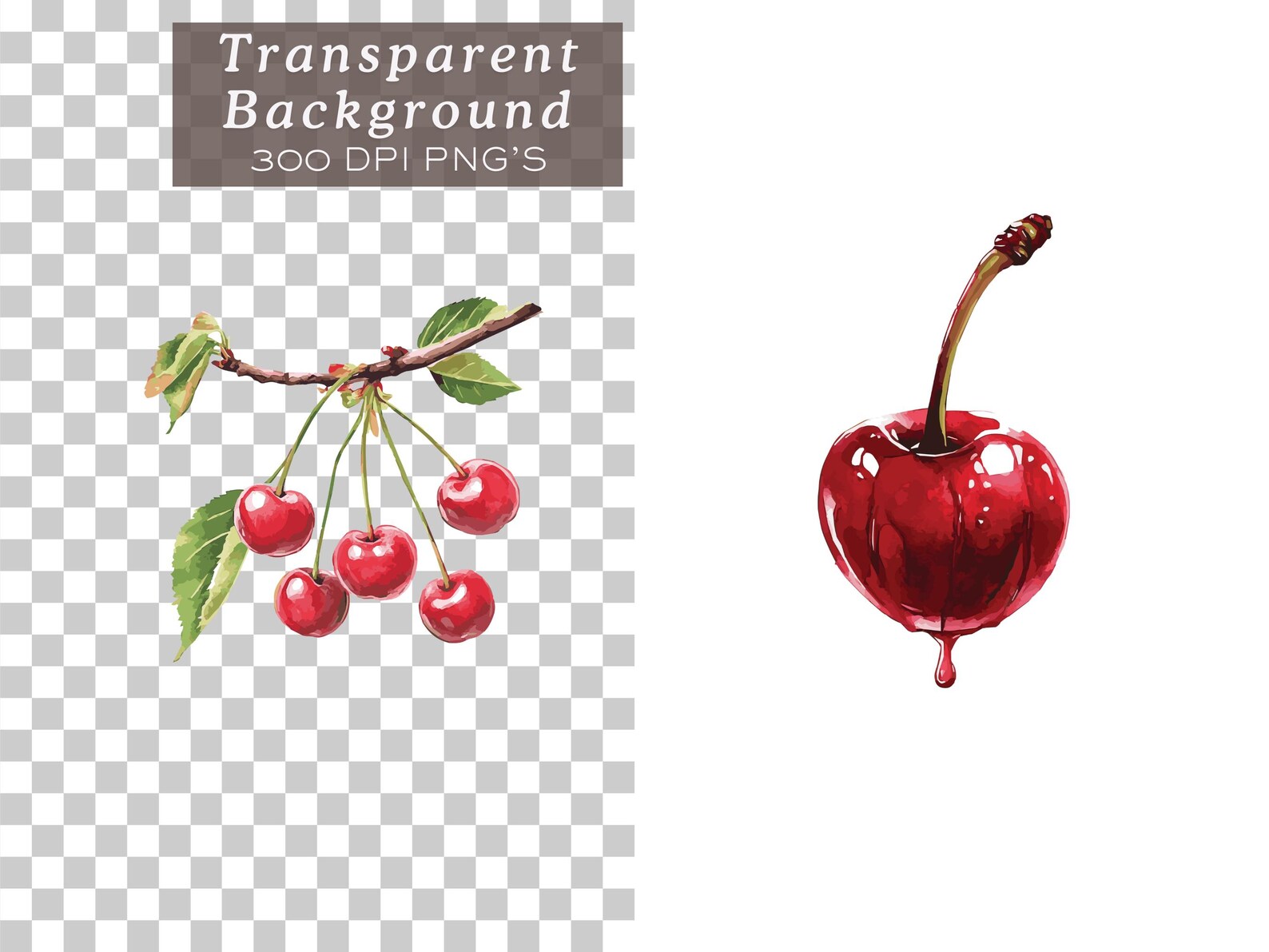 Cherry Clipart Coquette Aesthetic Red Cherry Clipart Cherry Svg Cherry ...