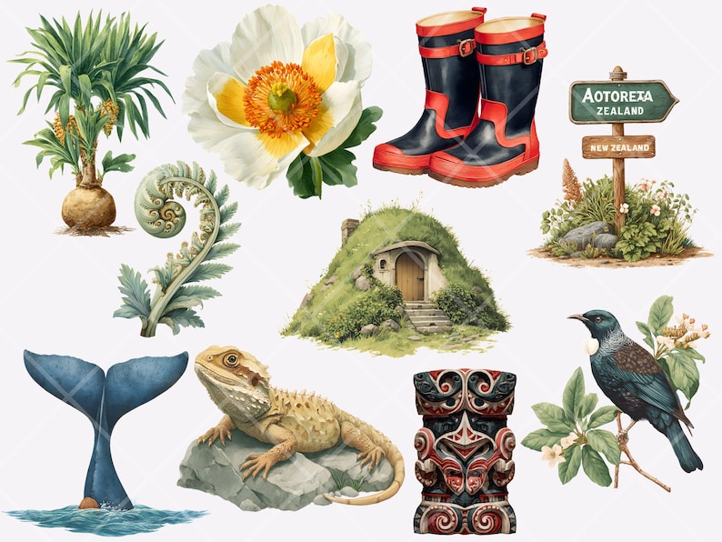 New Zealand Clipart Bundle Summer Travel Vacation Illustrations New ...