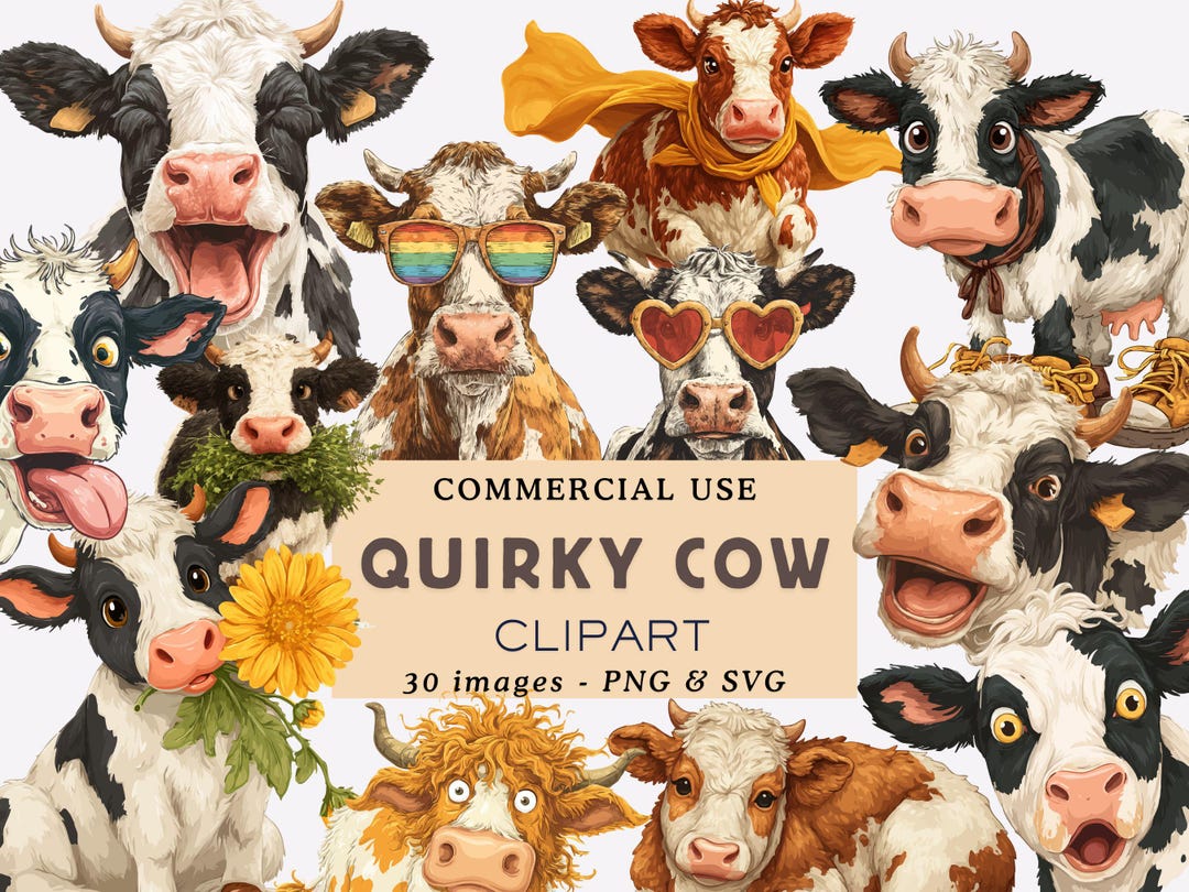 Quirky Cow Clipart Bundle Funny Cow Silly Illustration Crazy Cow Face ...