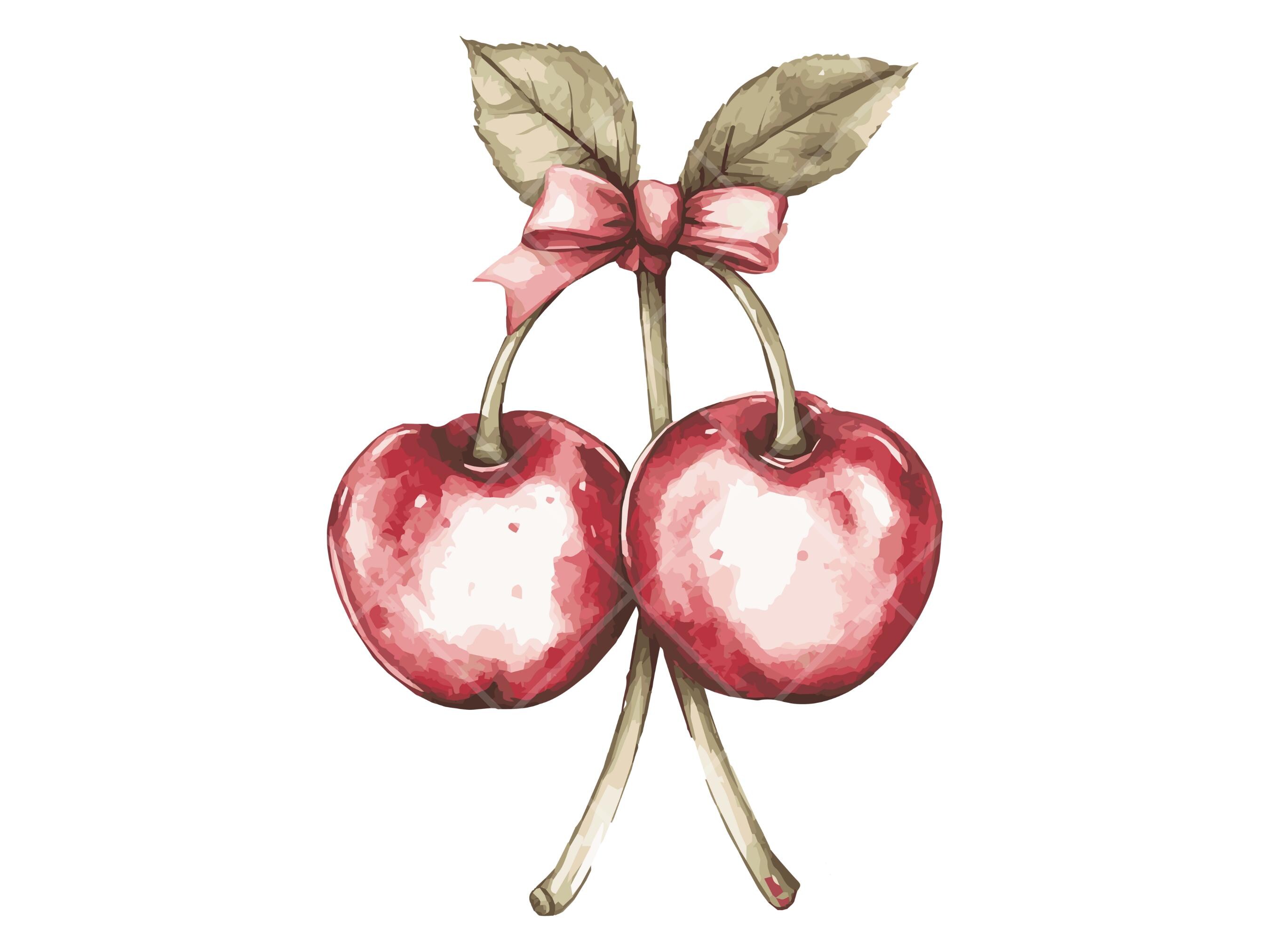 Cherry Clipart Coquette Aesthetic Red Cherry Clipart Cherry Svg Cherry ...