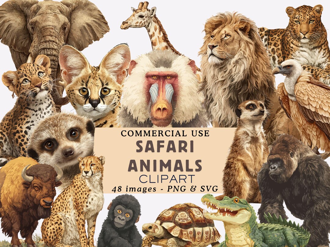 Safari Animals Clipart Bundle Jungle Animals Vector Art Woodland Animal ...
