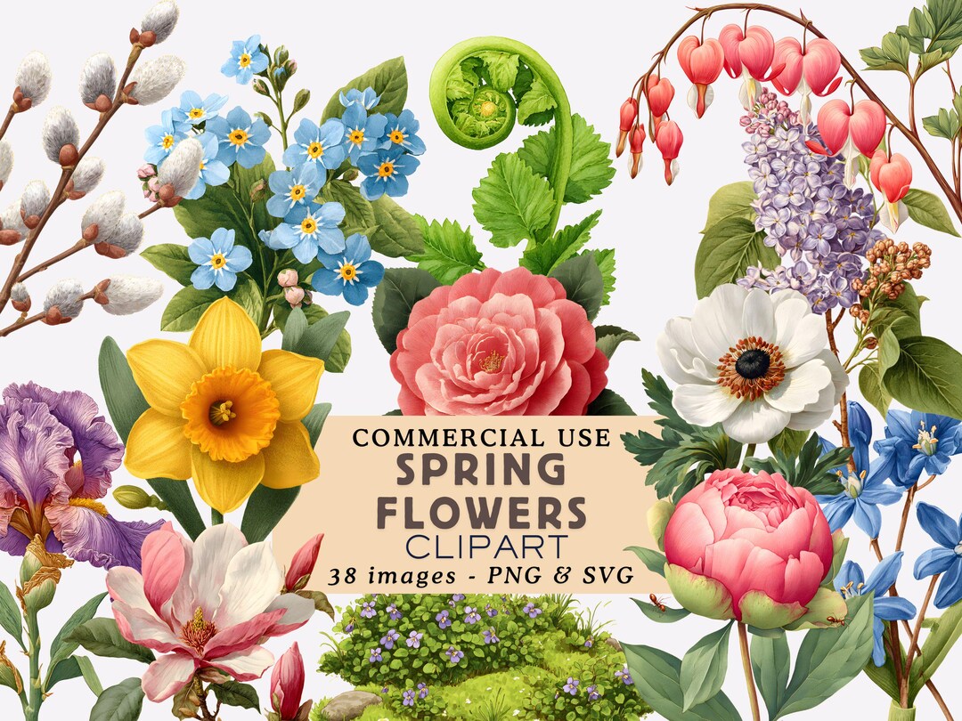 Spring Flowers Clipart Bundle Blooming Flowers Illustrations Floral ...