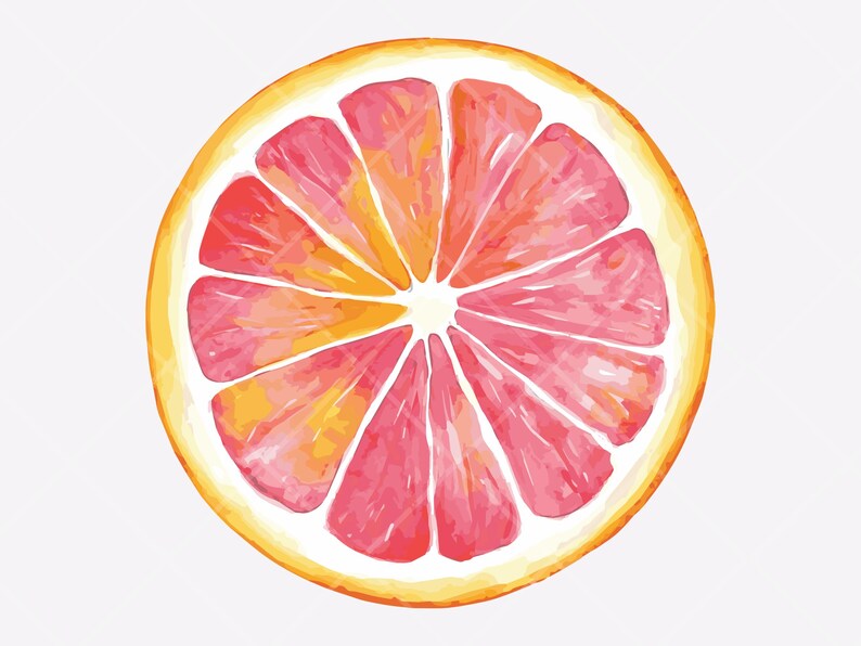 Watercolor Fruit Slices Clipart Fruit Slices Graphics Fruits Clipart ...