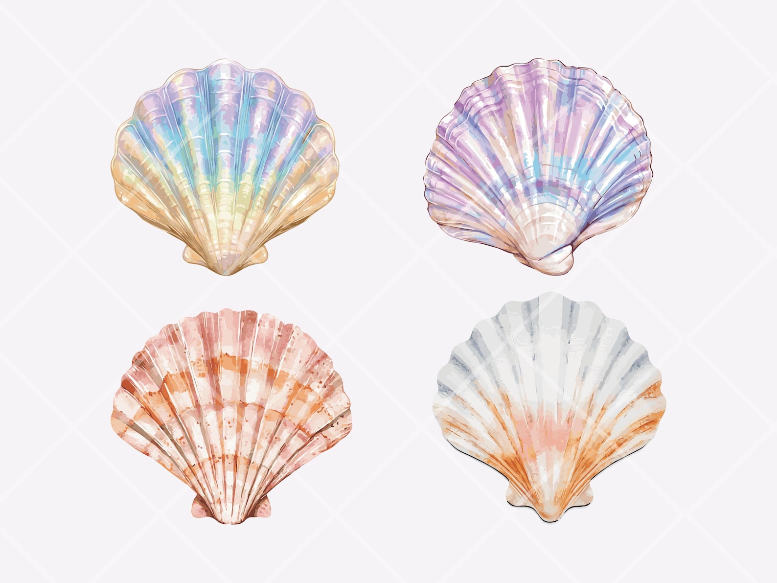 Watercolor Seashells Clipart Seashells Graphics Seashells Illustrations ...