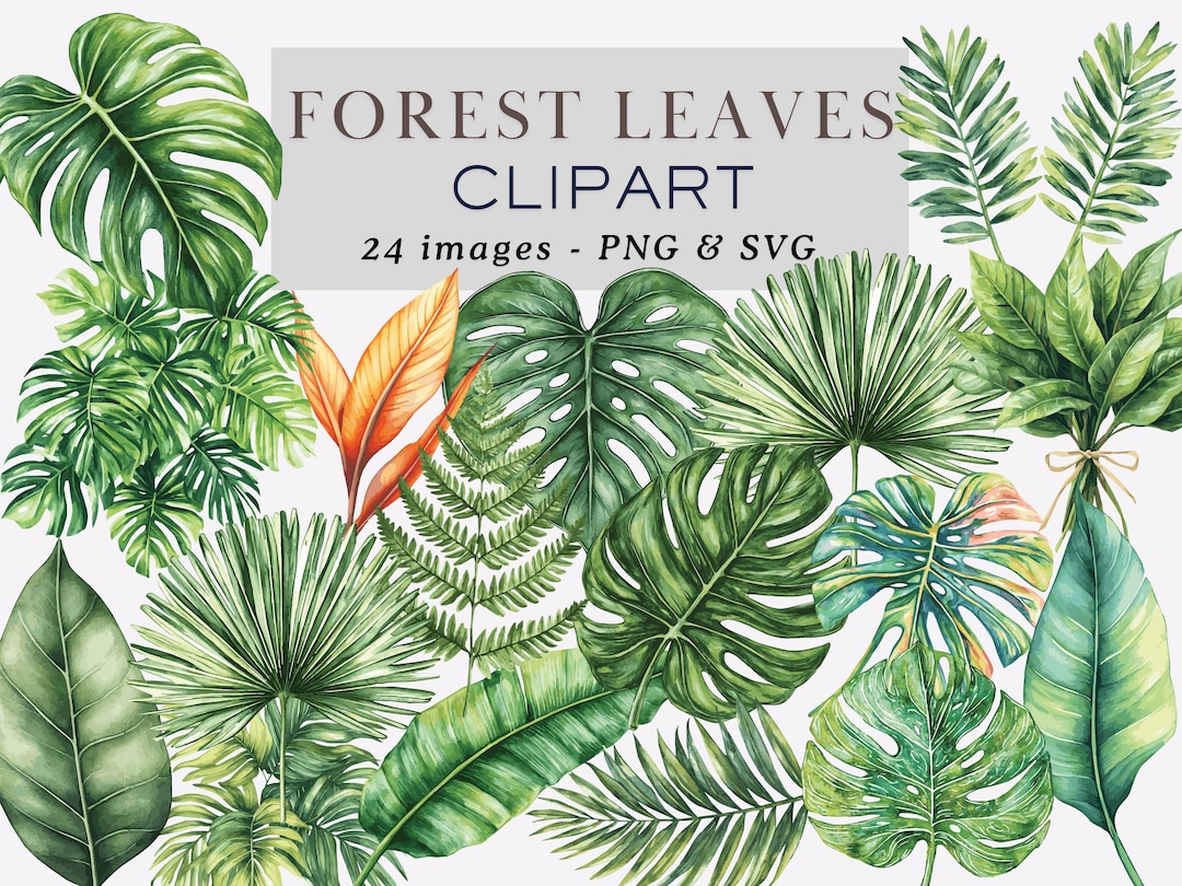 Forest Leaves Clipart Greenery Clipart Leaves Graphics Foliage Clipart ...