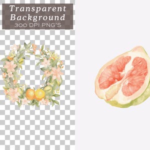 Citrus Clipart Citrus Graphics Lemon Clipart Lemon Graphics Citrus Svg ...