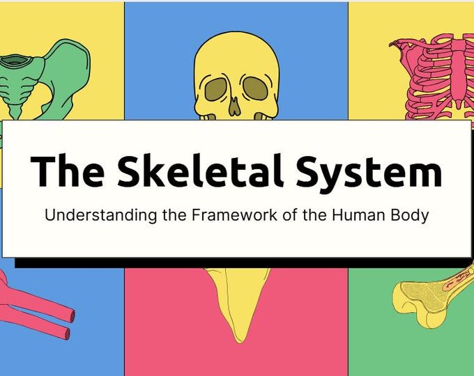 The Skeletal System Study Guide - Etsy Canada