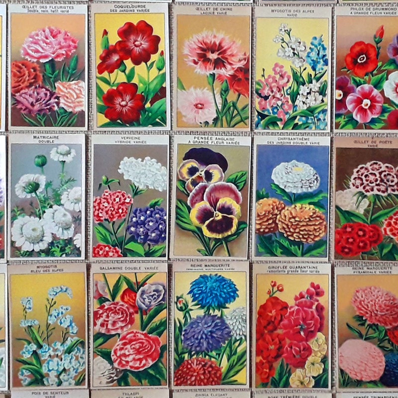 Original Del 1924 - Etsy New Zealand