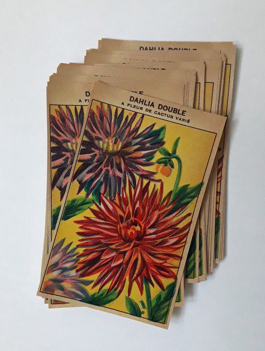 75 DAHLIA Labels, Vintage French Seed Packet Labels, Cottage Garden Cut Flowers, Cactus DAHLIAS ...