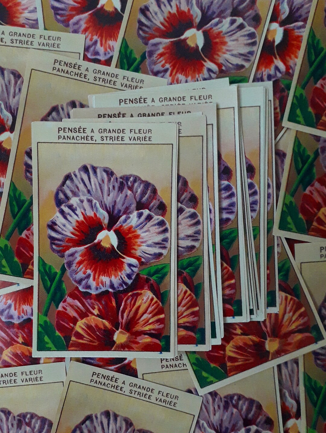 75 PANSY Labels, Original 1920s Lithograph Label, Vintage French Flower ...