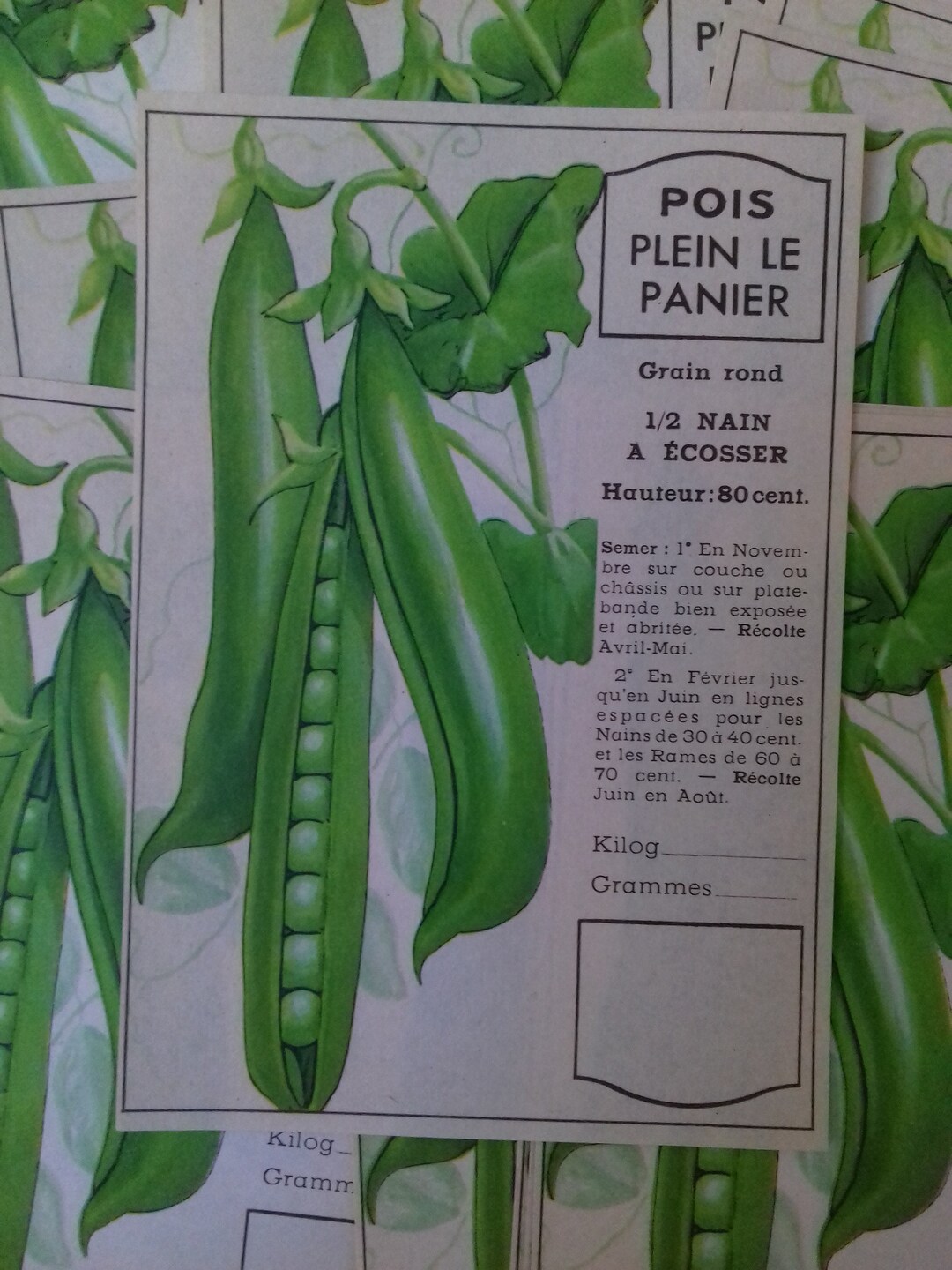 70 Vintage Pea Labels French Country Kitchen 1920s Botanical - Etsy