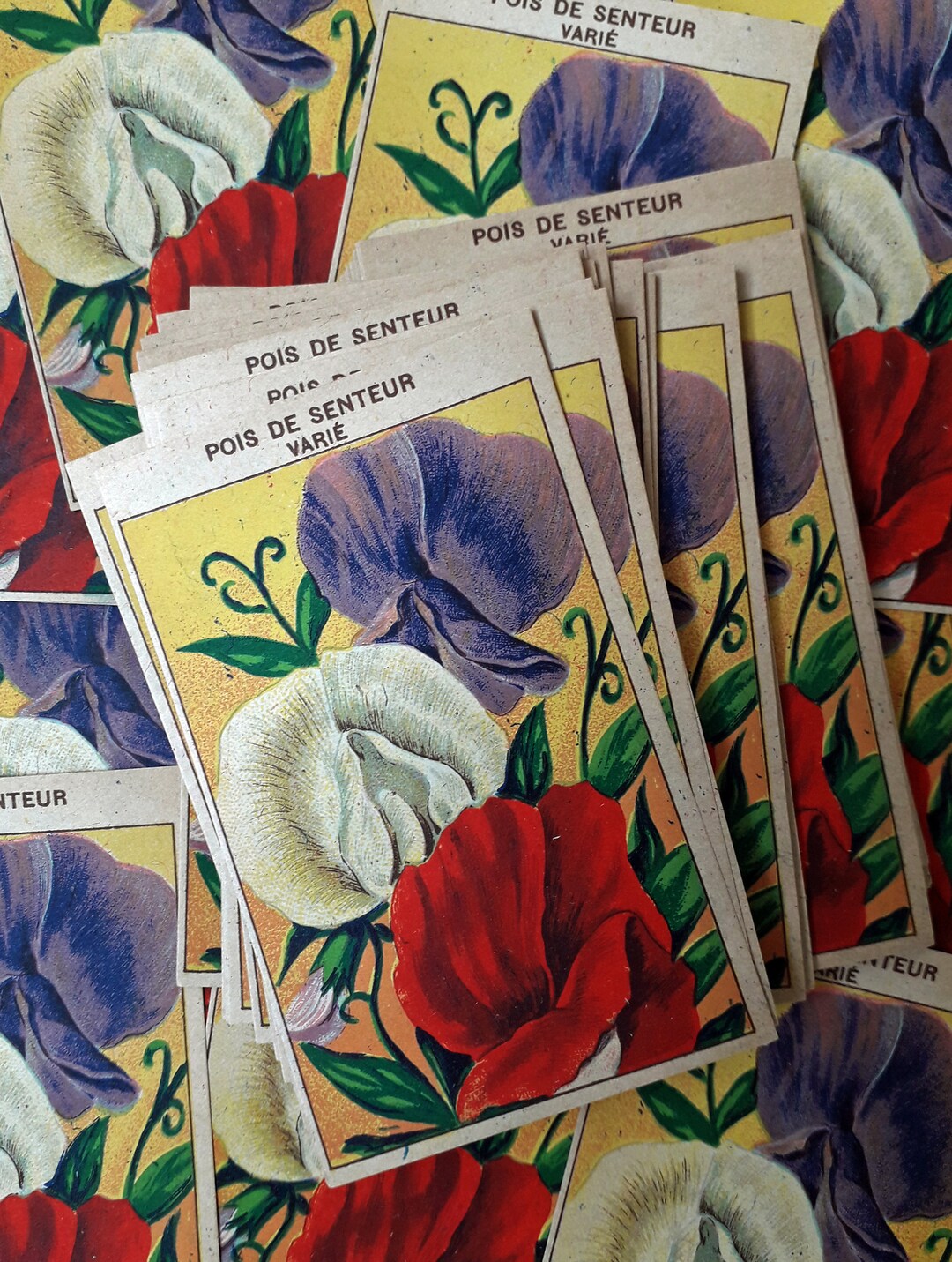118 SWEET PEA Labels, Vintage French Seed Packet Labels, Country ...