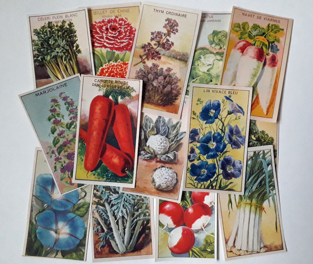 45 Original 1920's Labels, 3 Each of 15 Different Labels, Flowers ...