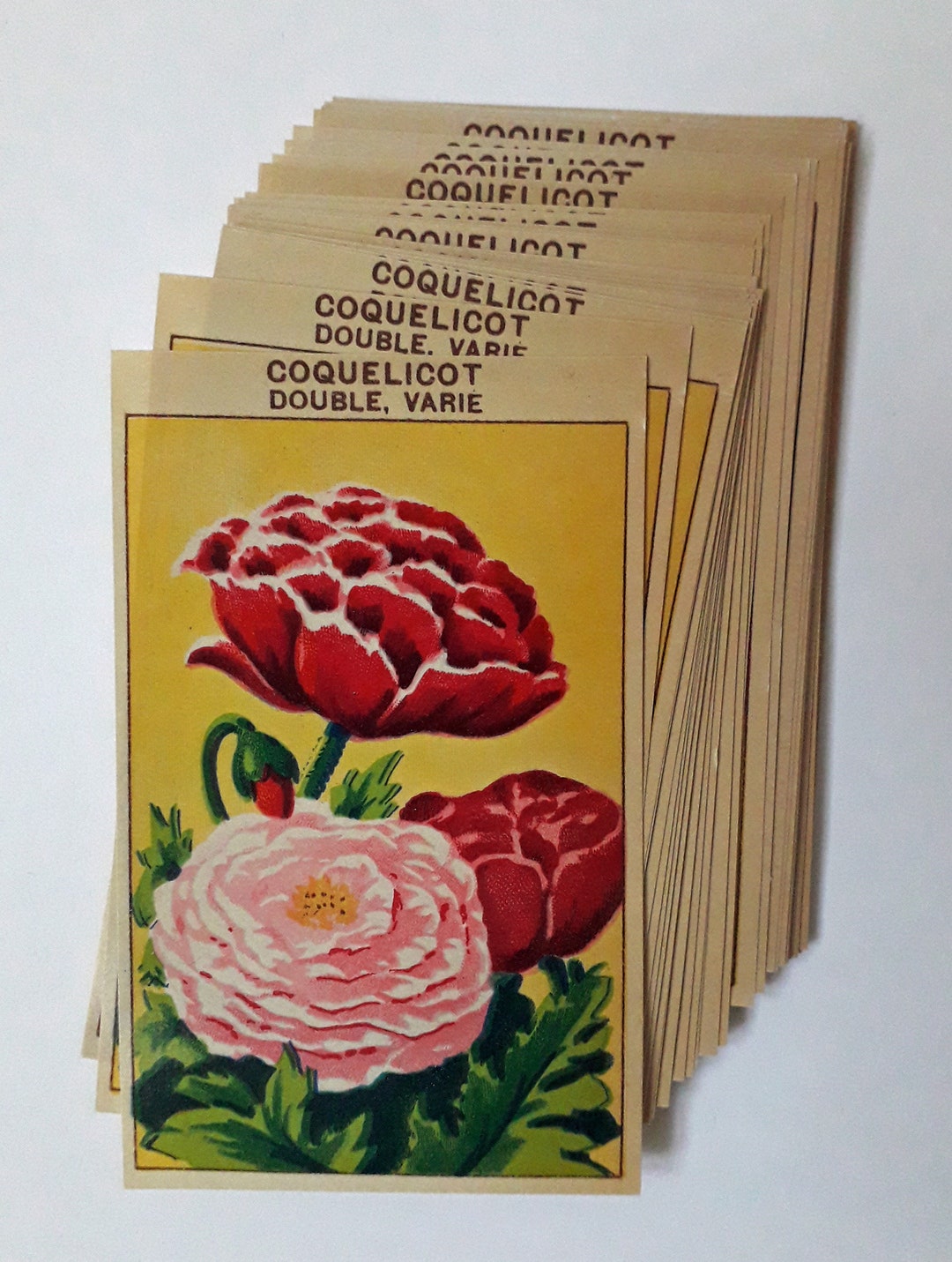 75 POPPIES Vintage French Flower Seed Packet Labels, Original 1920s ...