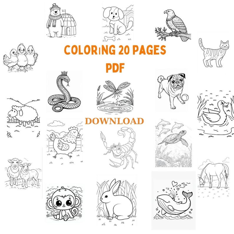 20 Animals Coloring Pages for Kids - Etsy