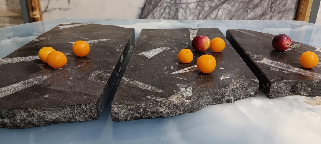 Marble Serving Plater With Fossils - Etsy