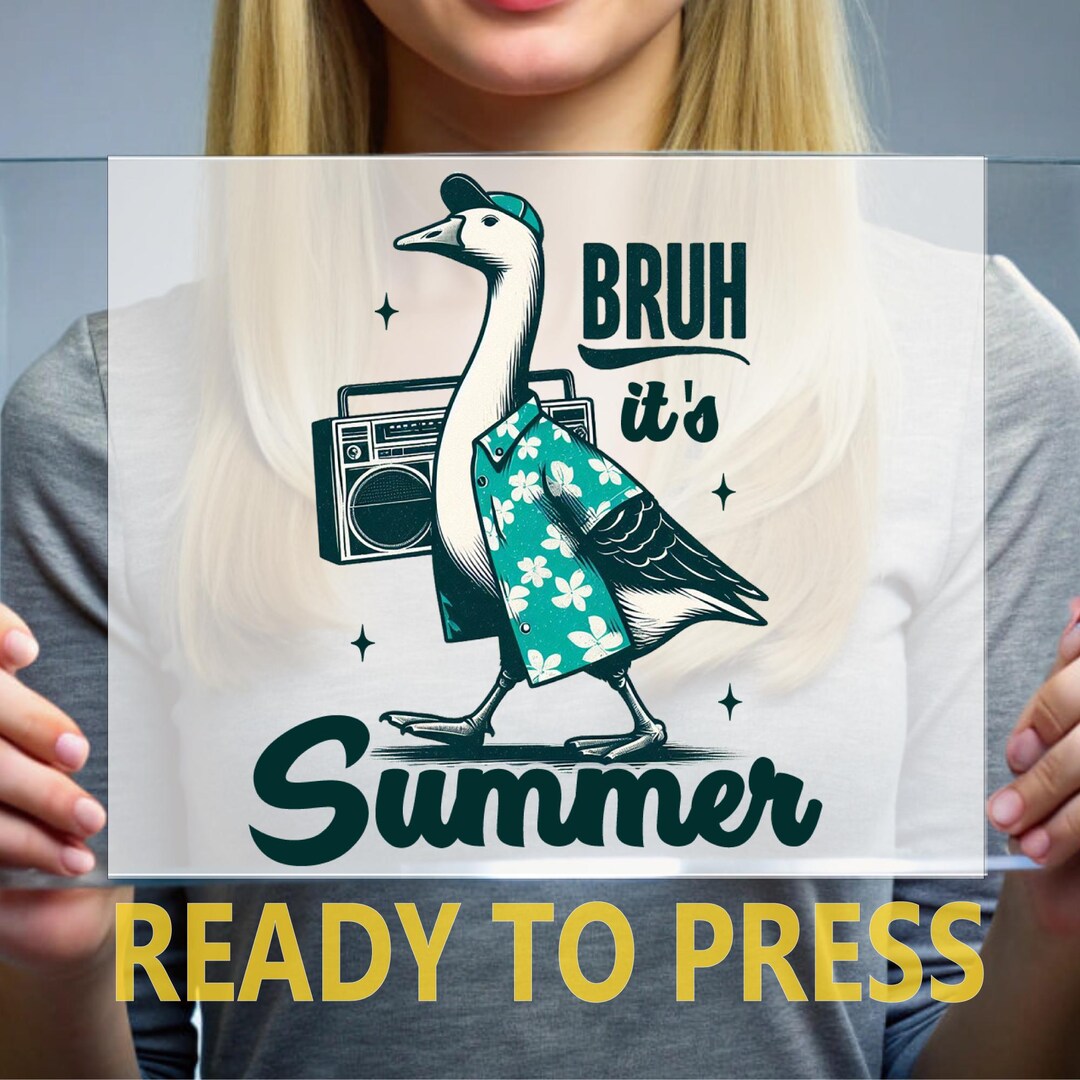 Bruh It's Summer Goose Ready to Press, Funny Goose DTF Transfers, Retro ...