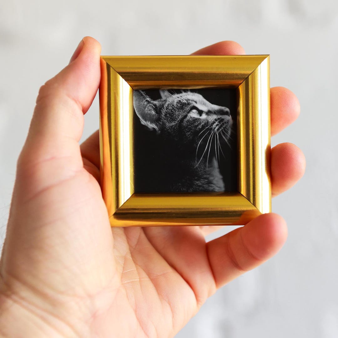 Black and White Cat Photography Print | Framed 2x2 Inches | Miniature ...