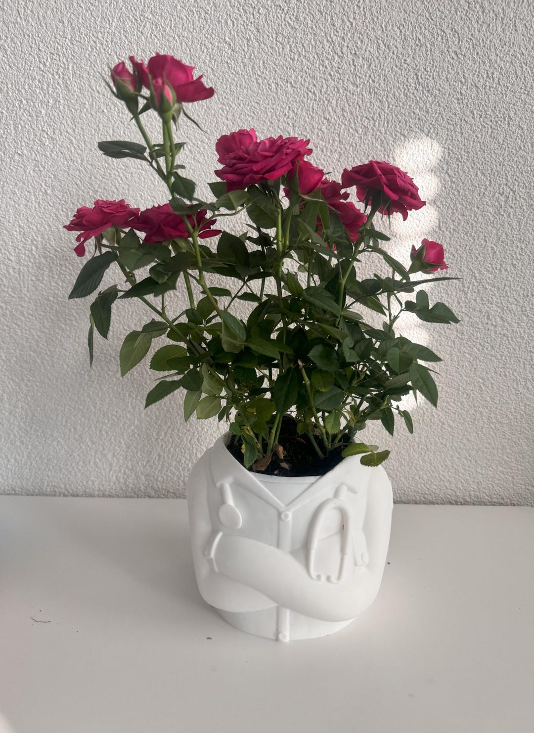 Doctor Planter Pot - Etsy