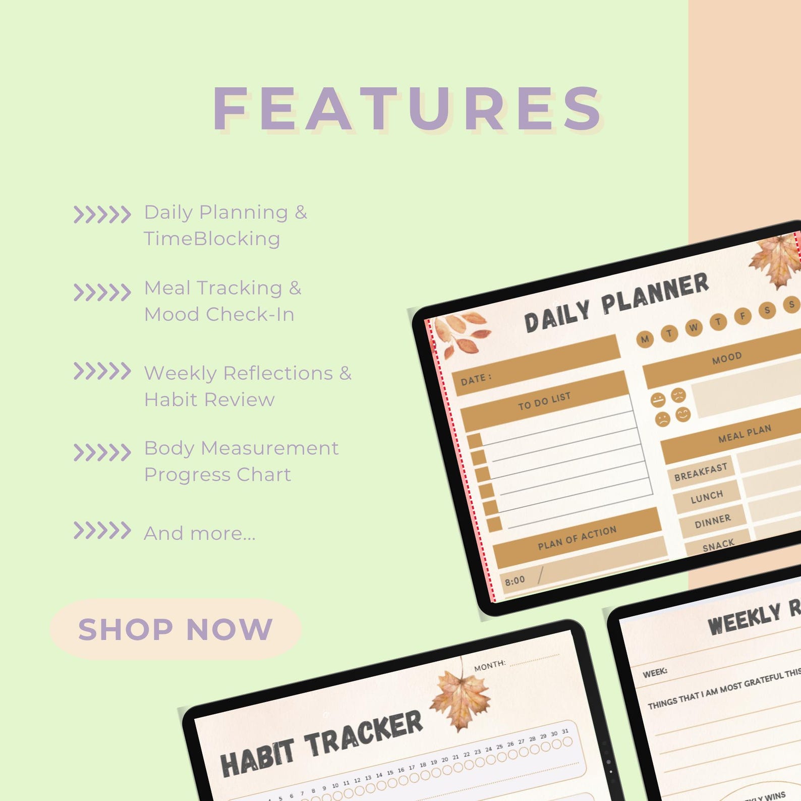 Editable Planner Template: Daily, Weekly, Wellness Tracker (canva ...