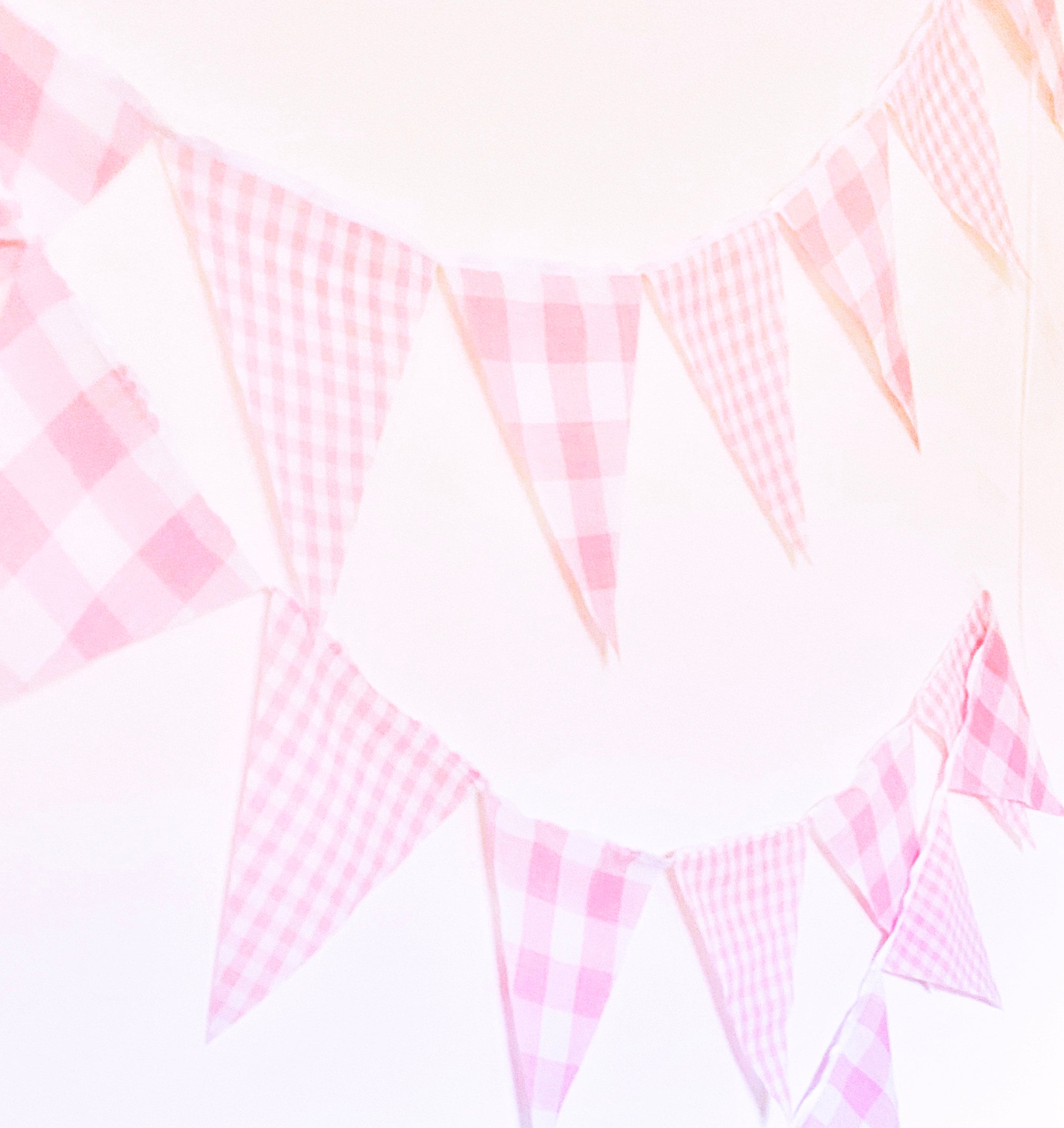 Pink Gingham Party Banner, Bunting, Pennant Flags, Vintage Gingham ...
