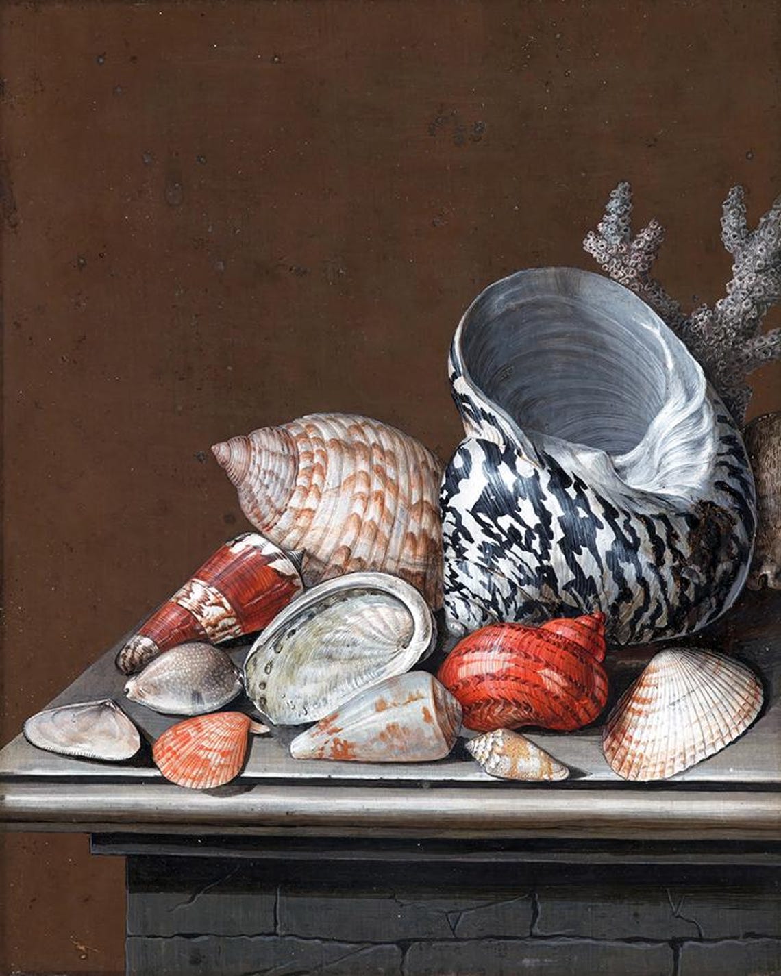 Still Life With Shells // Fine Art Print – Nautical Artwork, Seashell ...