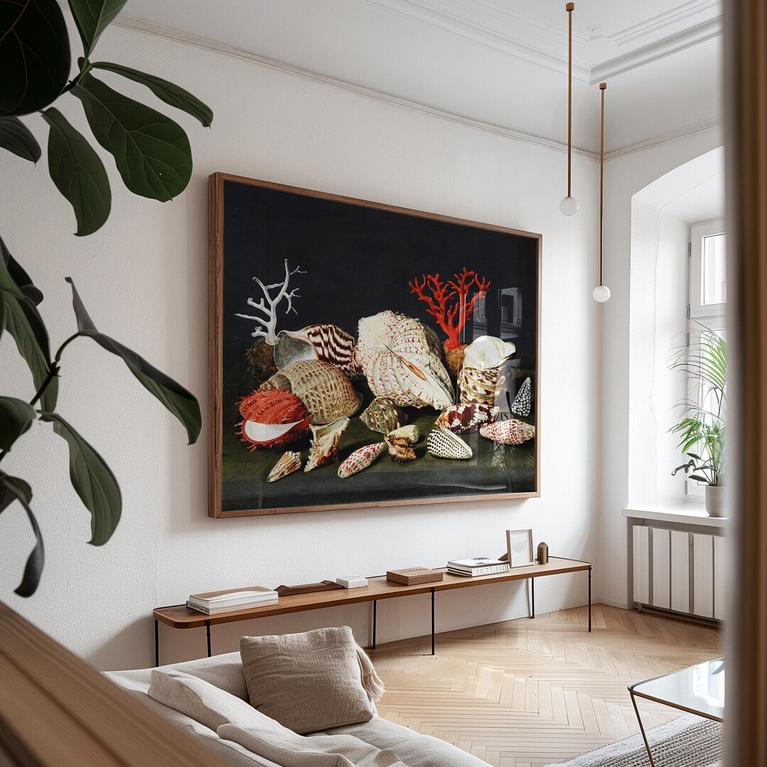 Jacques Linard Shells and Coral Print: Vintage Natural History Art - Etsy